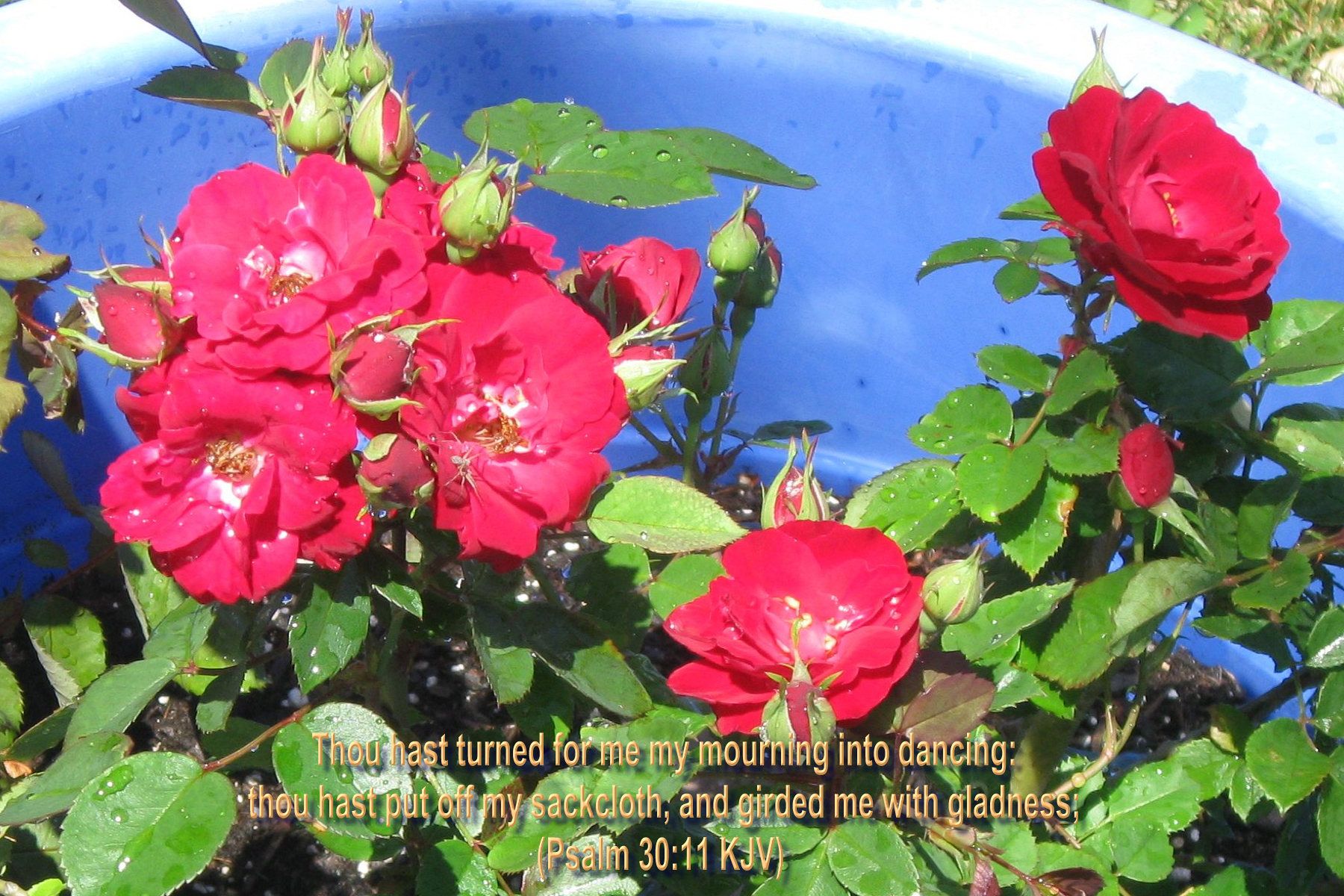 TBN Spiritual Christian Quotes Desktop Wallpapers - Wallpaper Cave