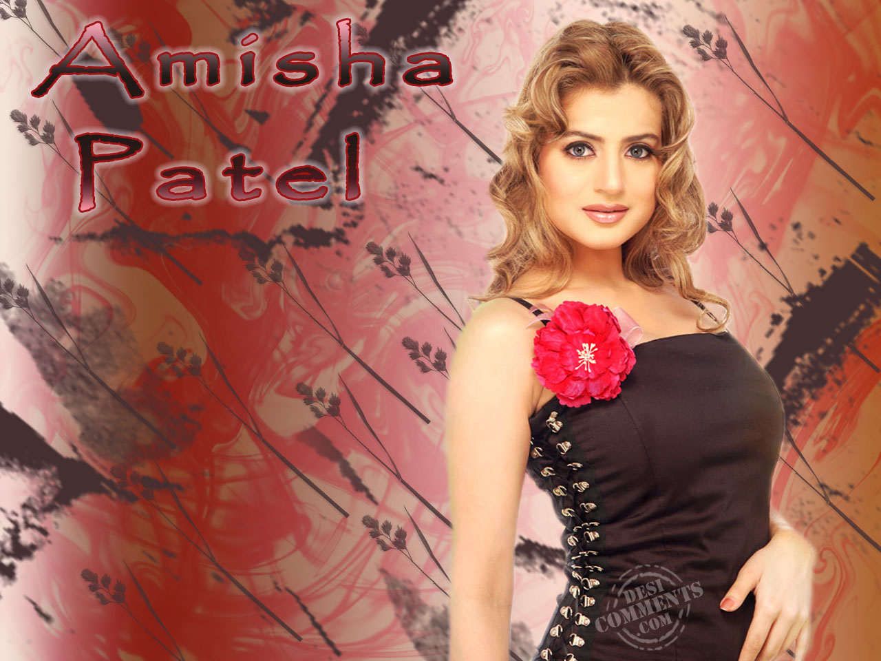 Amisha Wallpapers - Wallpaper Cave