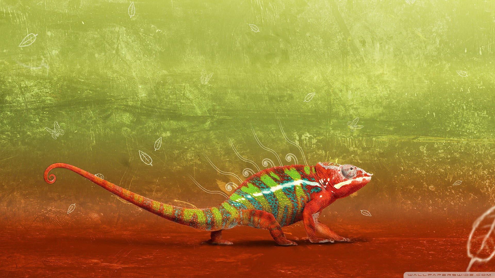 Chameleon HD Wallpapers - Wallpaper Cave