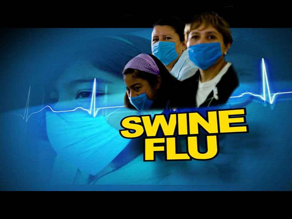Swine Flu Wallpapers Wallpaper Cave