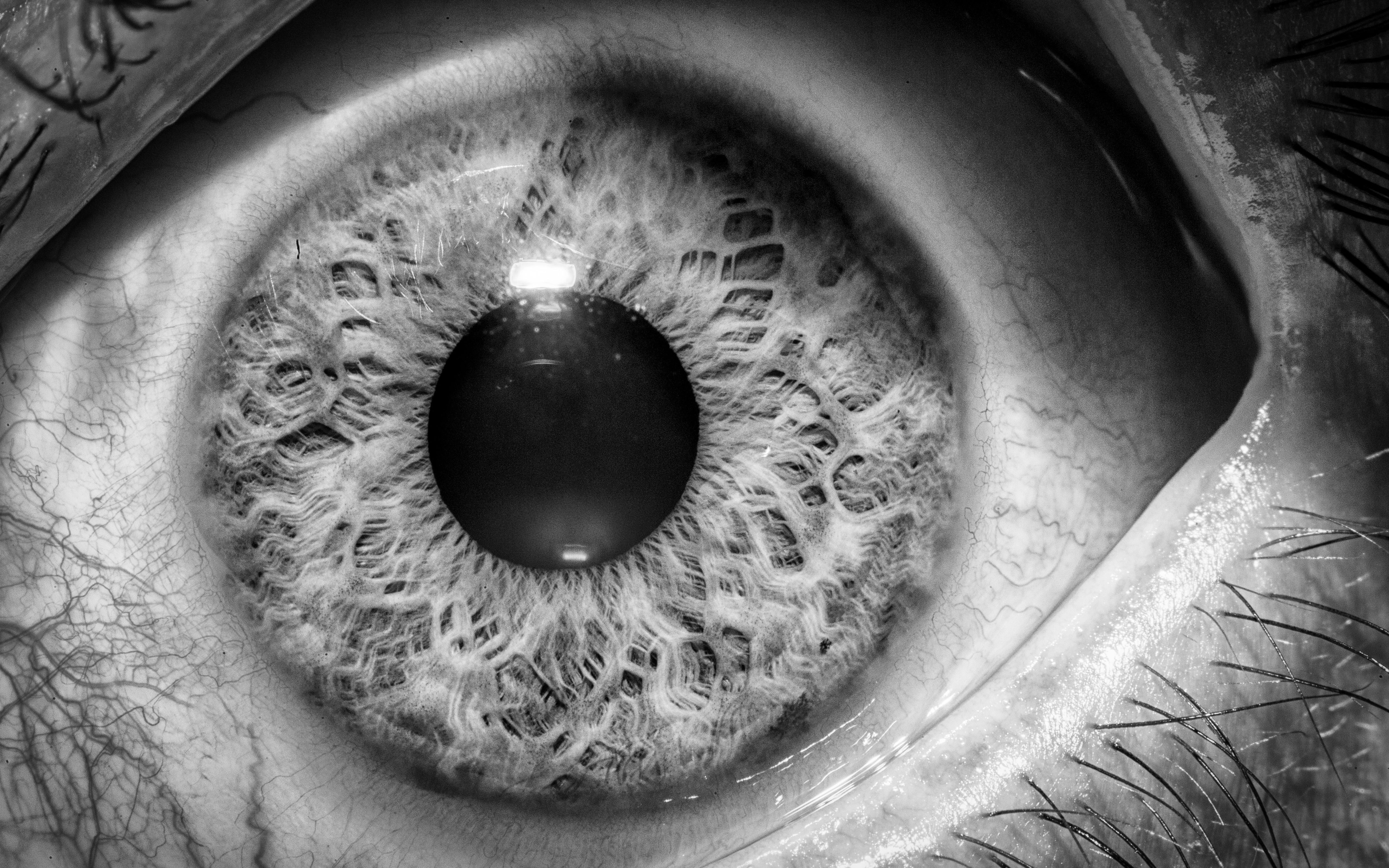 Black Eyes Close Up Wallpapers - Wallpaper Cave