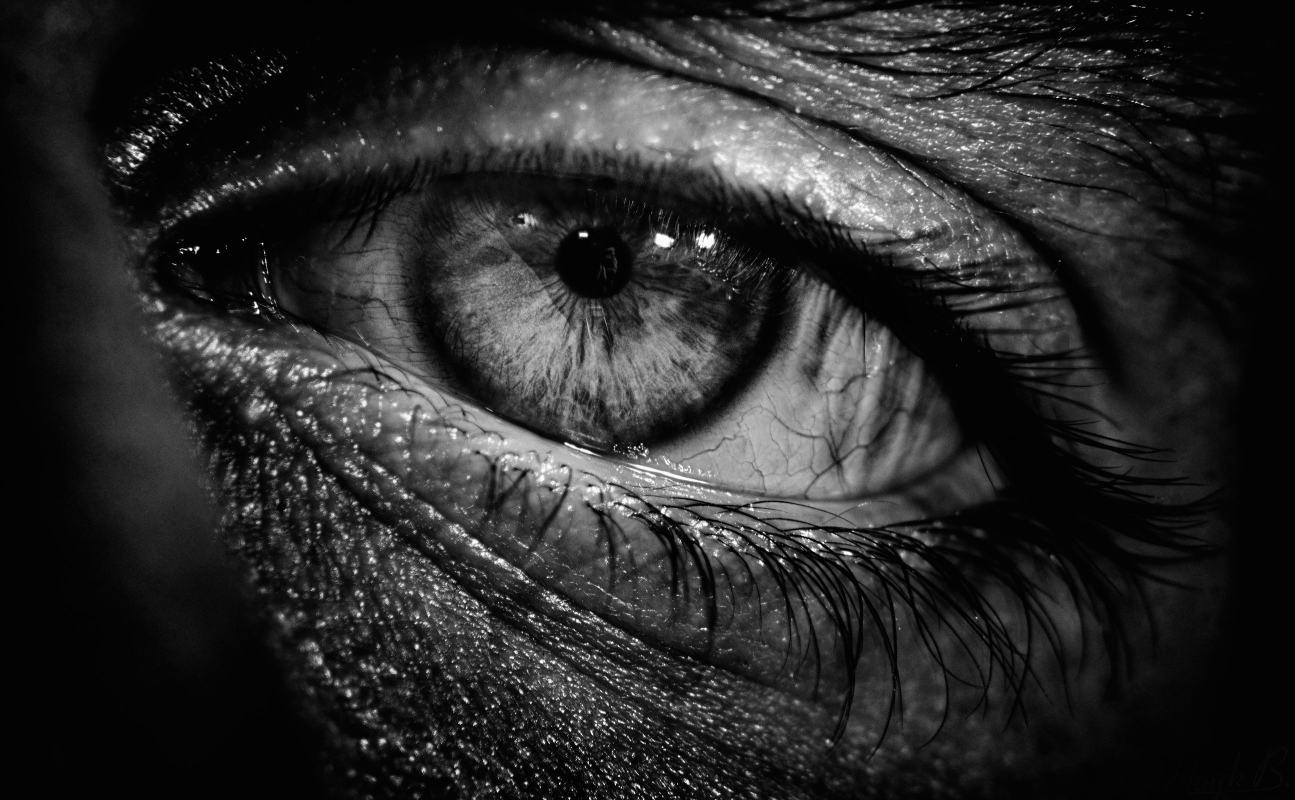 Black Eyes Close Up Wallpapers - Wallpaper Cave