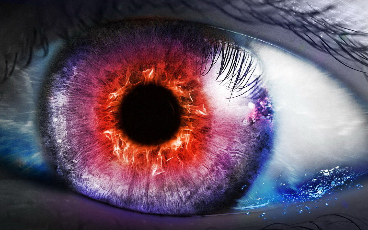 Black Eyes Close Up Wallpapers - Wallpaper Cave