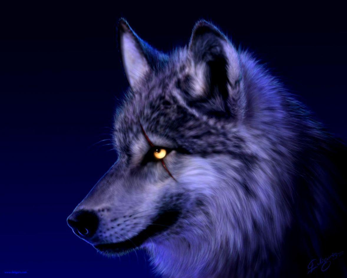 Wolf Animal Wallpapers - Wallpaper Cave
