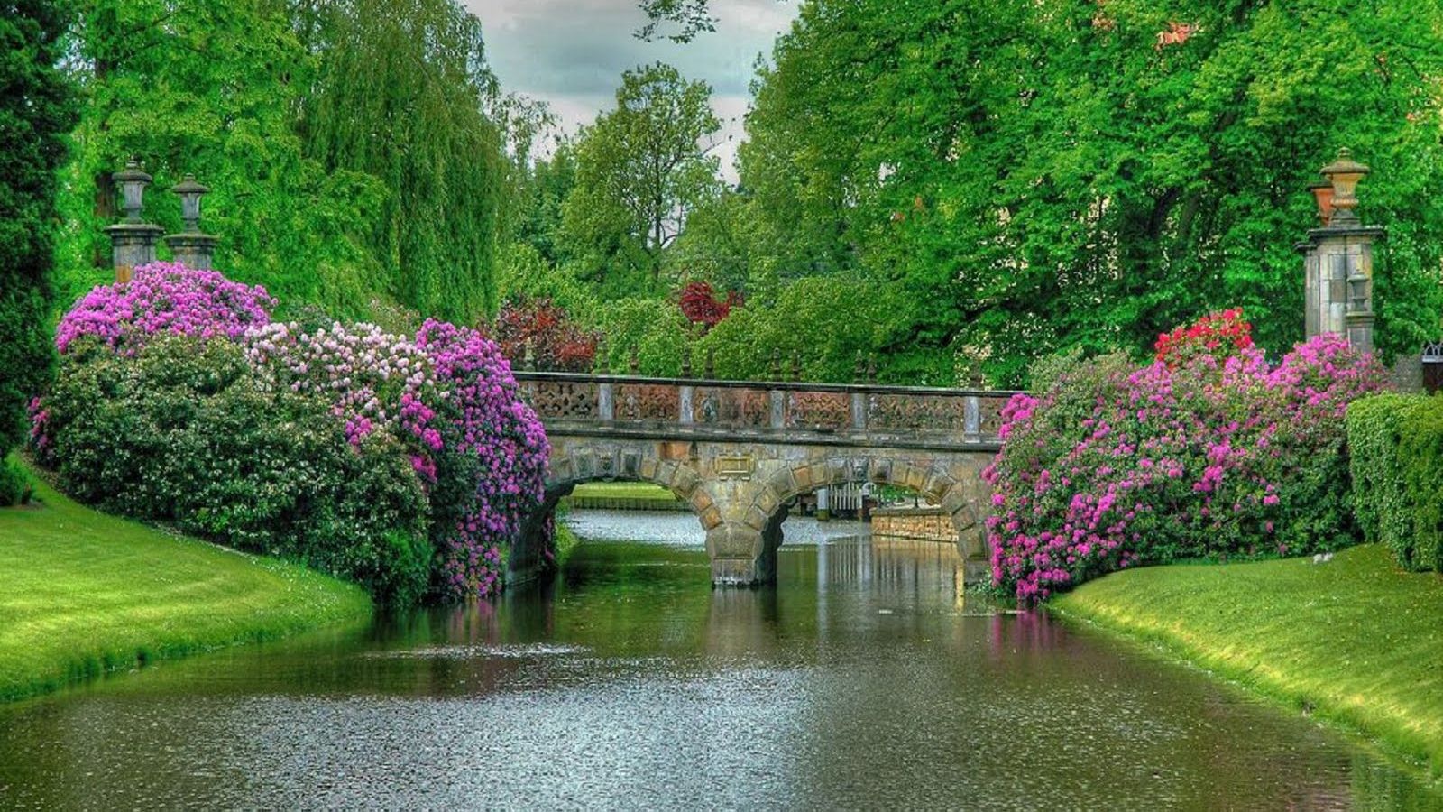 The Most Beautiful Desktop Wallpapers - Wallpaper Cave