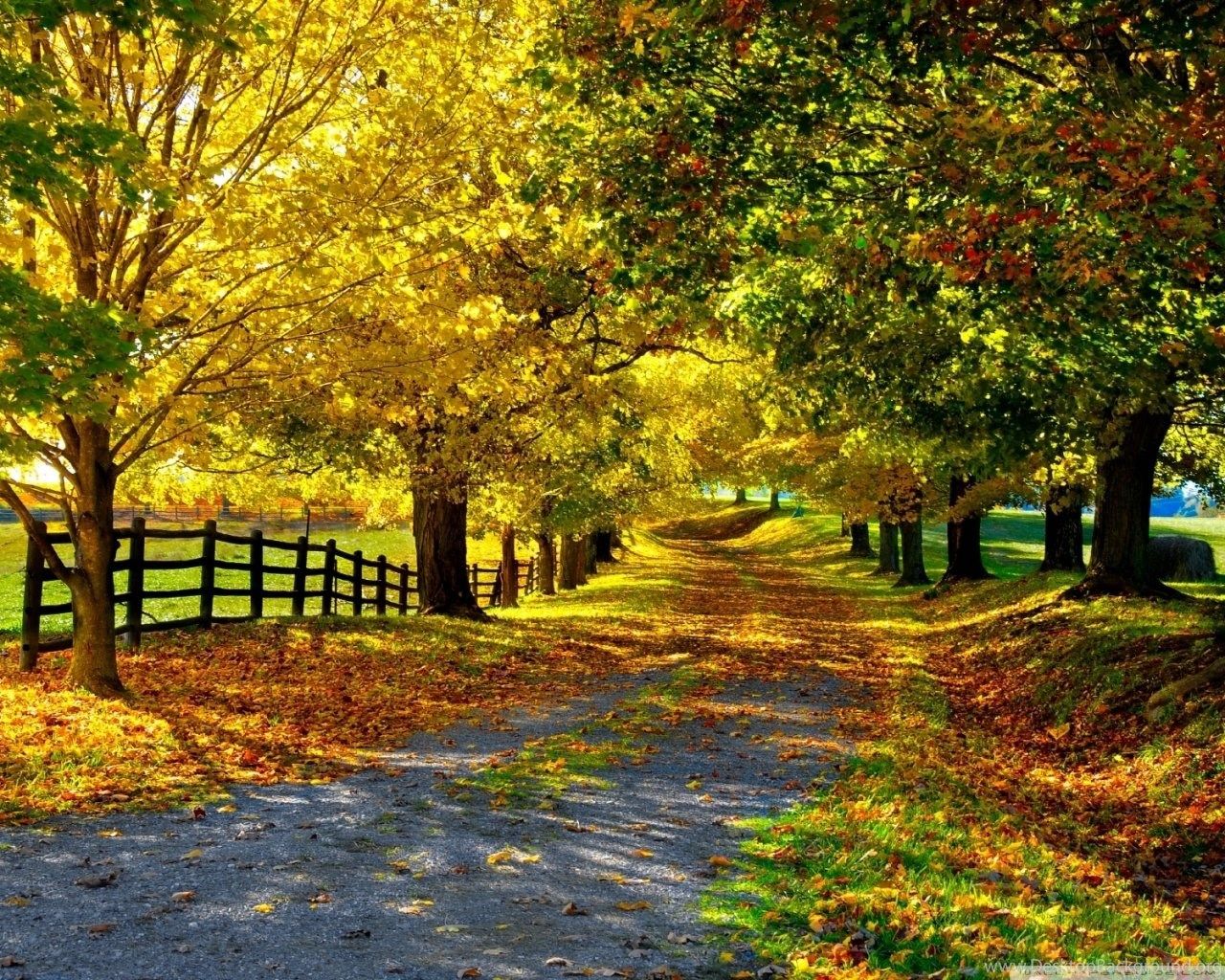 The Most Beautiful Desktop Wallpapers - Wallpaper Cave