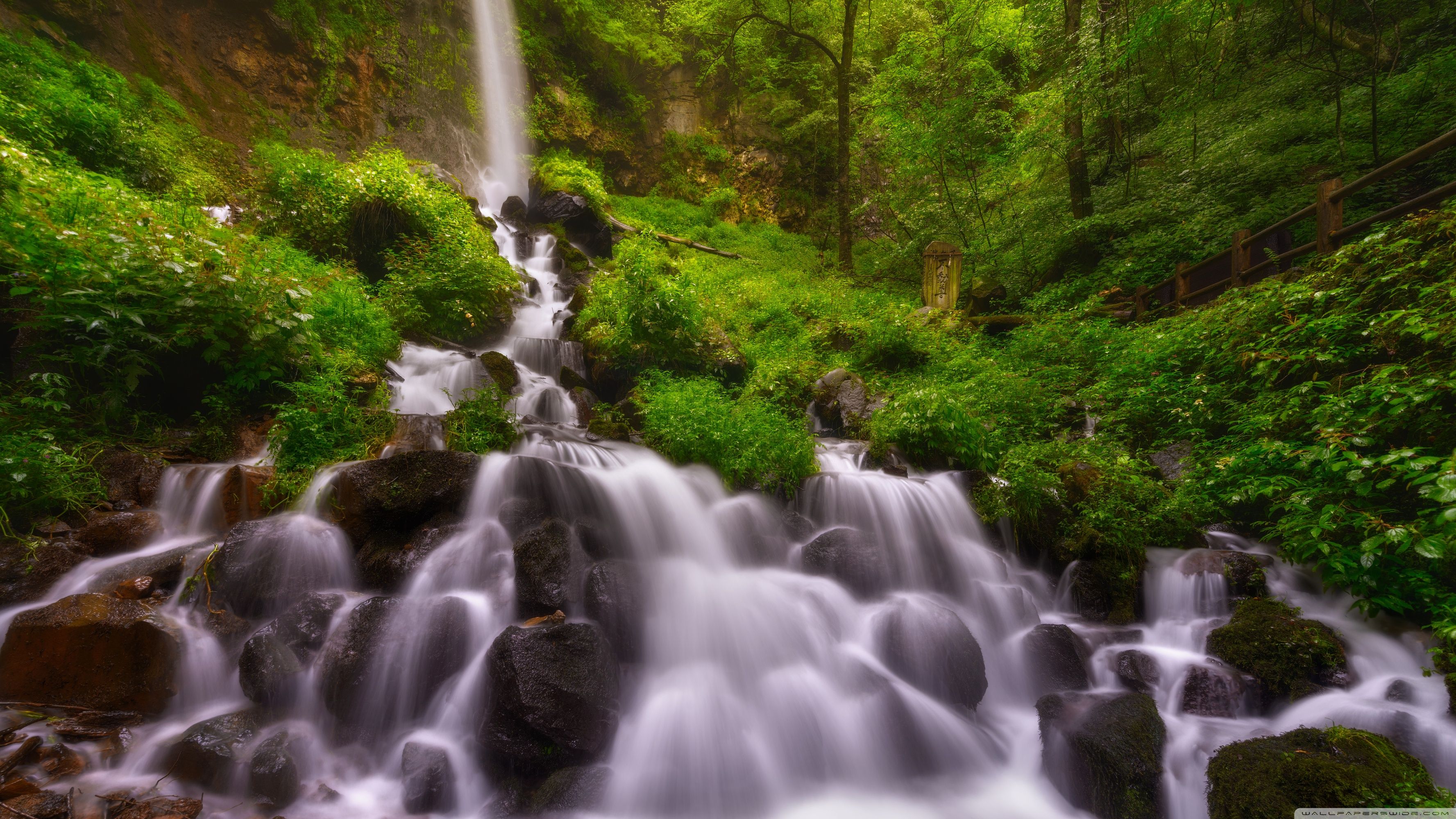 Waterfall Forest HD Wallpapers - Wallpaper Cave