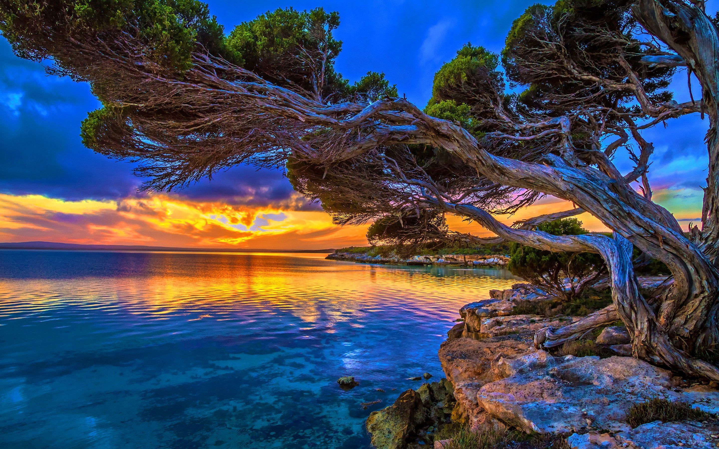 4k Natural Wallpapers Wallpaper Cave
