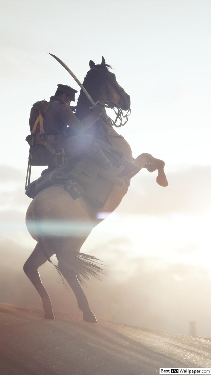 War Stallion Wallpaper