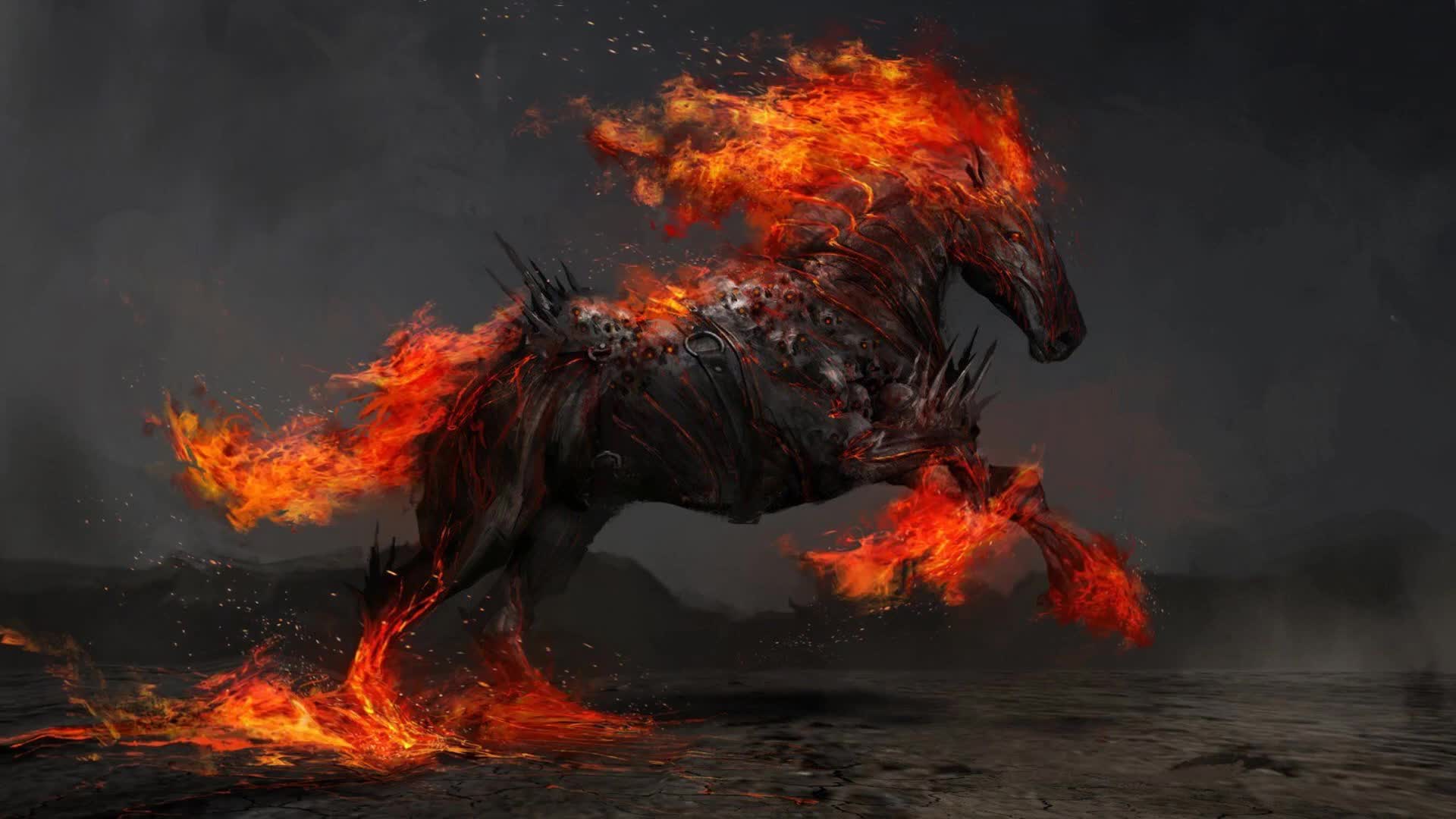 War Horse Wallpapers - Wallpaper Cave