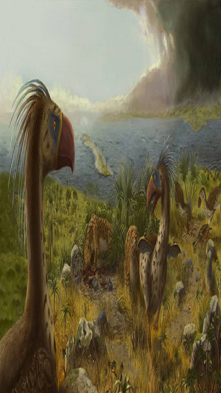 Terror Bird Wallpapers - Wallpaper Cave