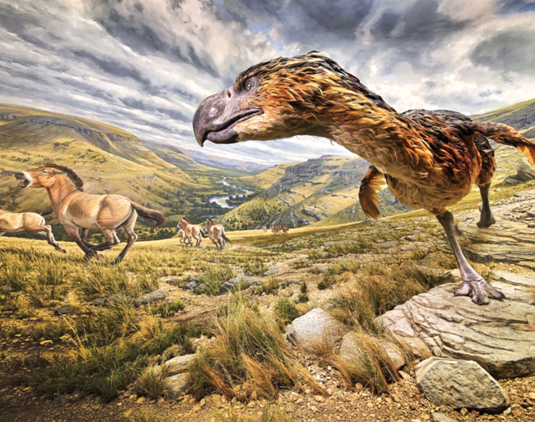 Terror Bird Wallpapers - Wallpaper Cave