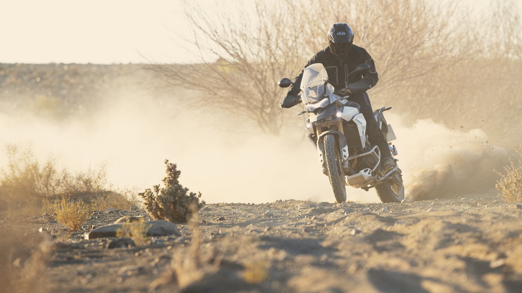 Tiger 900 Wallpapers - Wallpaper Cave