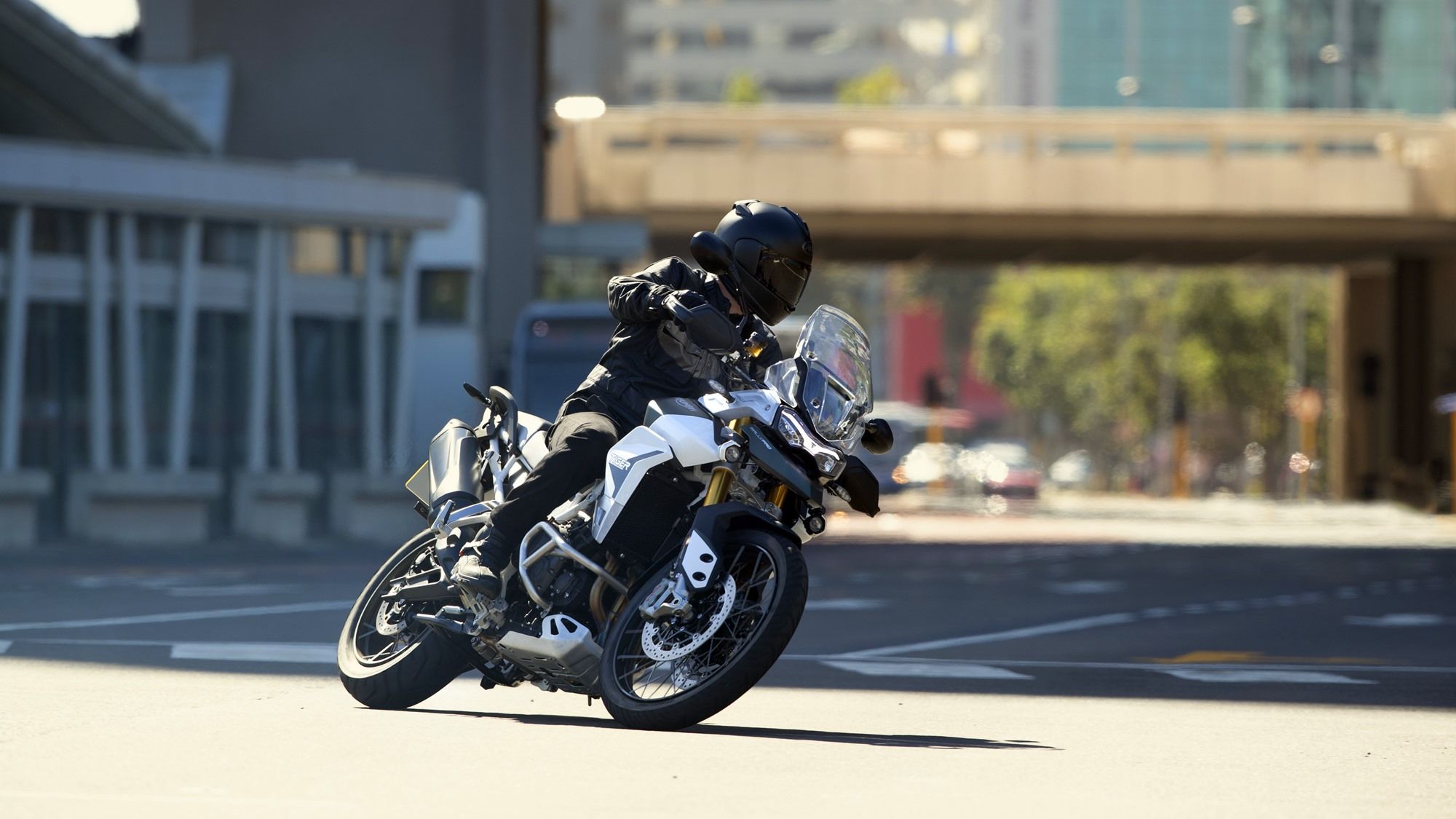 Tiger 900 Wallpapers - Wallpaper Cave