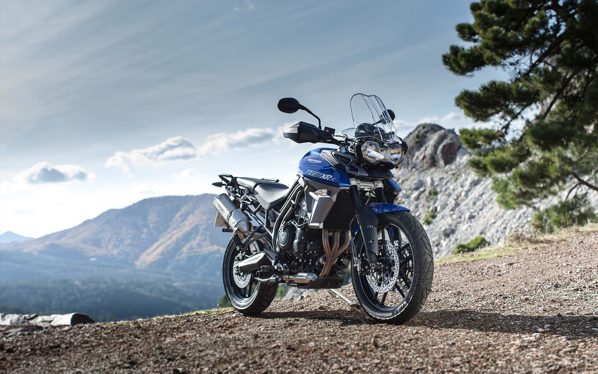 Tiger 900 Wallpapers - Wallpaper Cave