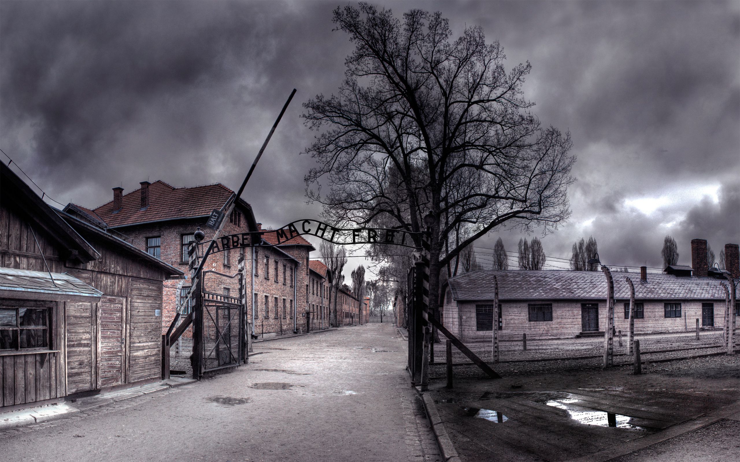 Holocaust Wallpapers - Wallpaper Cave