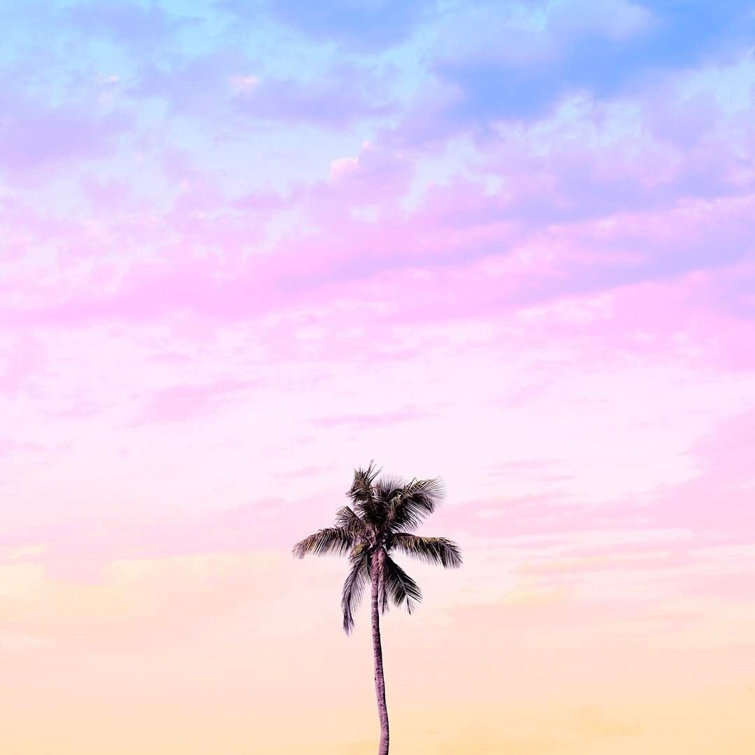 Summer Colorful Tree Wallpapers - Wallpaper Cave