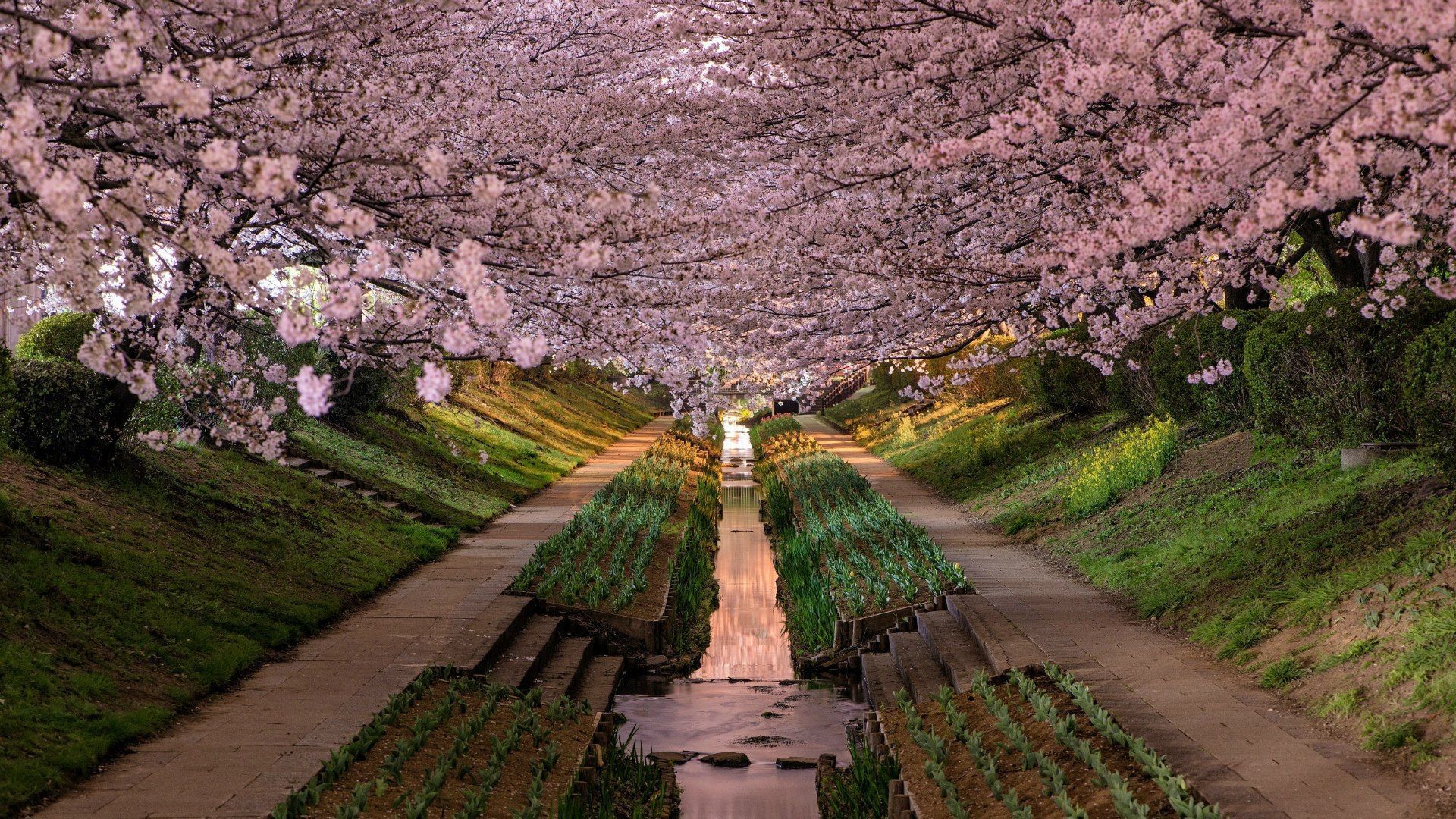 Japan Summer Wallpapers - Wallpaper Cave