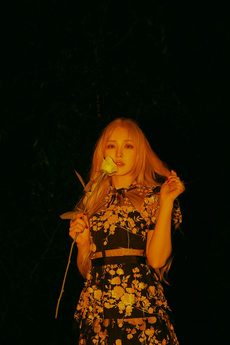 Wendy RV Wallpapers - Wallpaper Cave