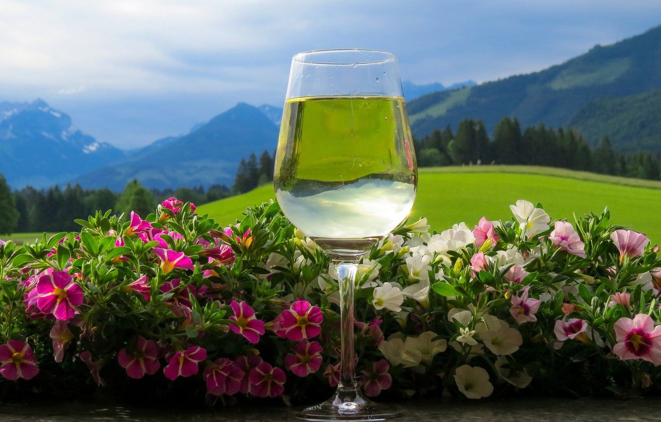 Wine Summer Wallpapers - Wallpaper Cave