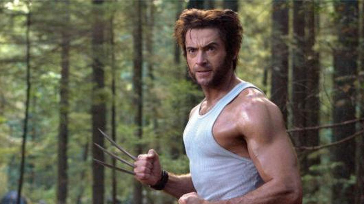 Wolverine Close Up HD Wallpapers - Wallpaper Cave