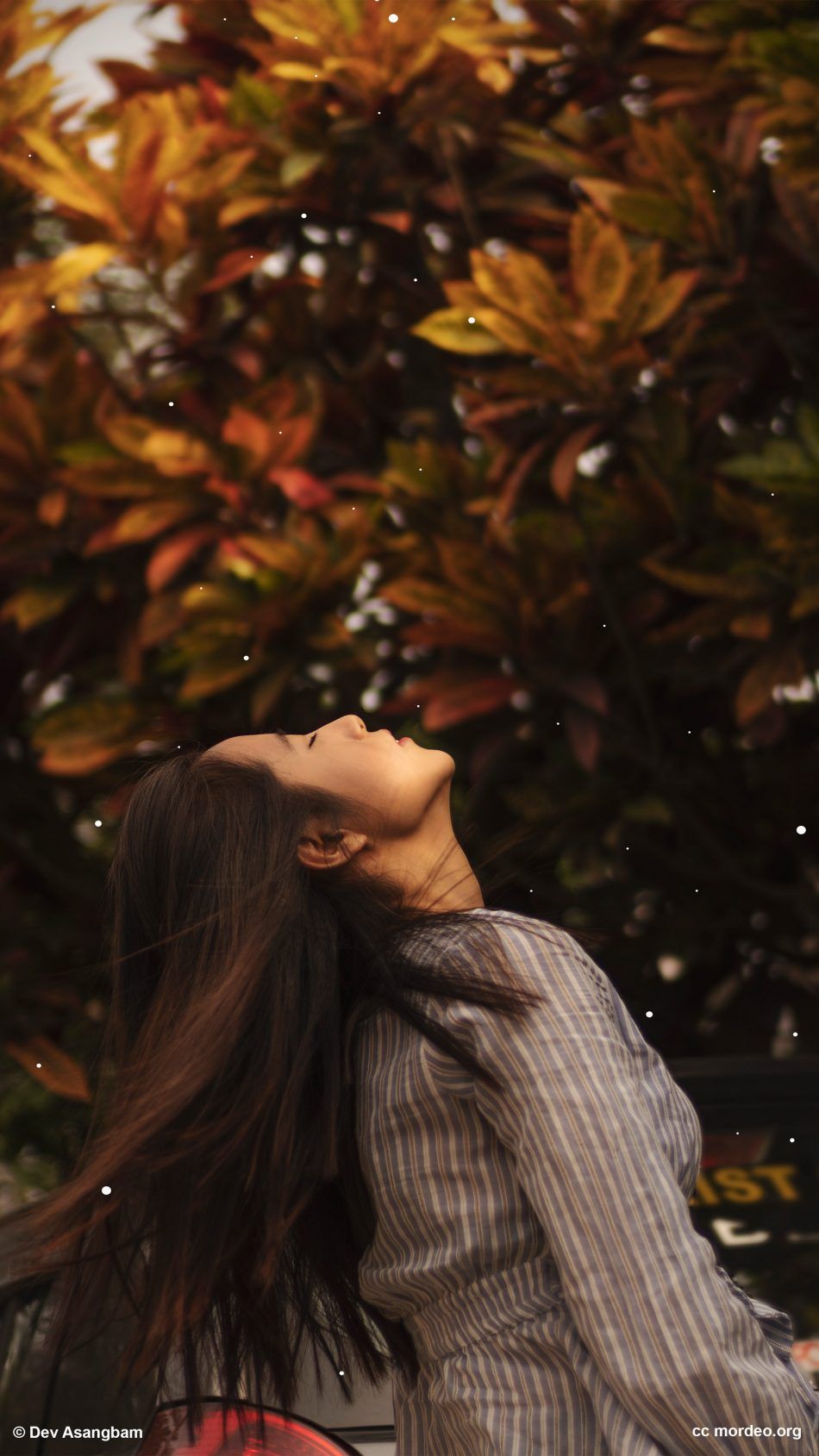 4k HD Girl Mobile Wallpapers - Wallpaper Cave