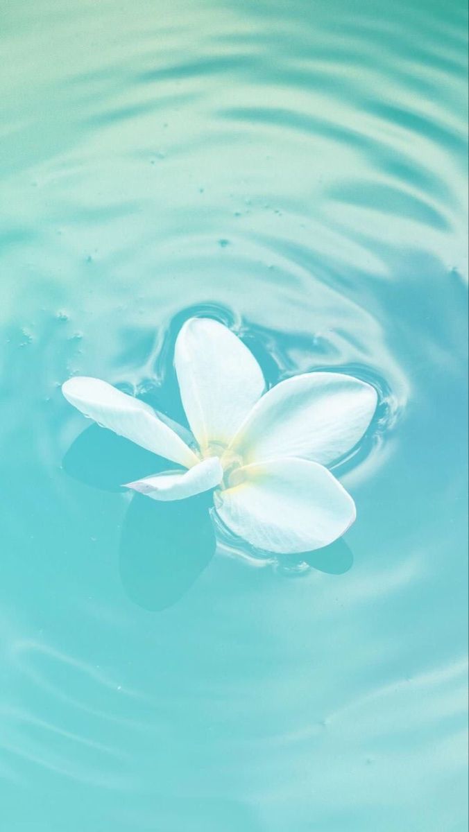 Guys Summer Wallpapers - Wallpaper Cave