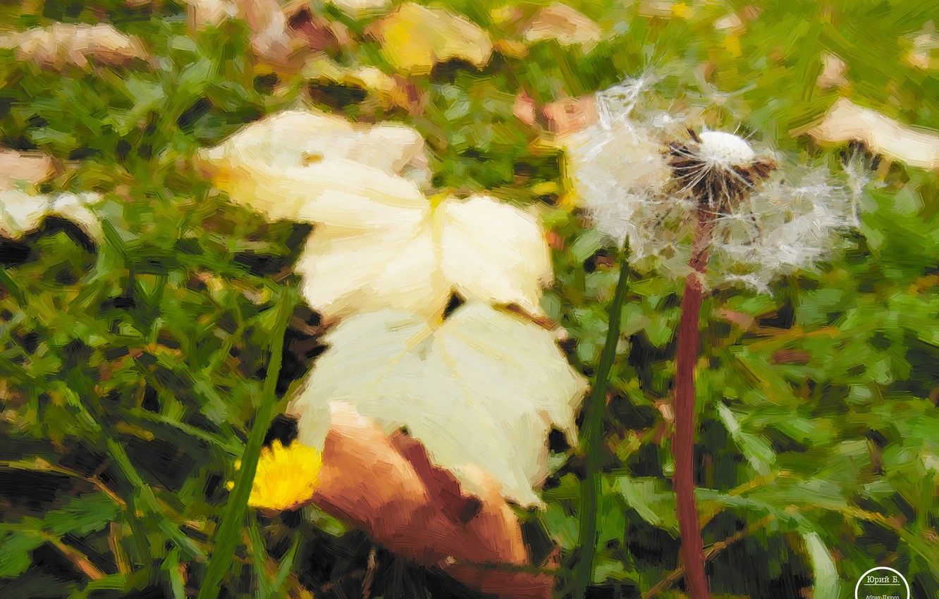 Autumn Dandelion Wallpapers - Wallpaper Cave