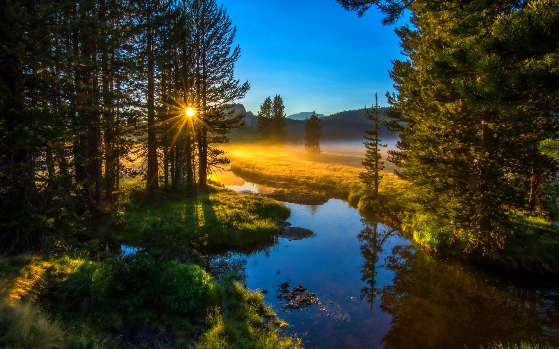 Forest River Trees HD Wallpapers - Wallpaper Cave