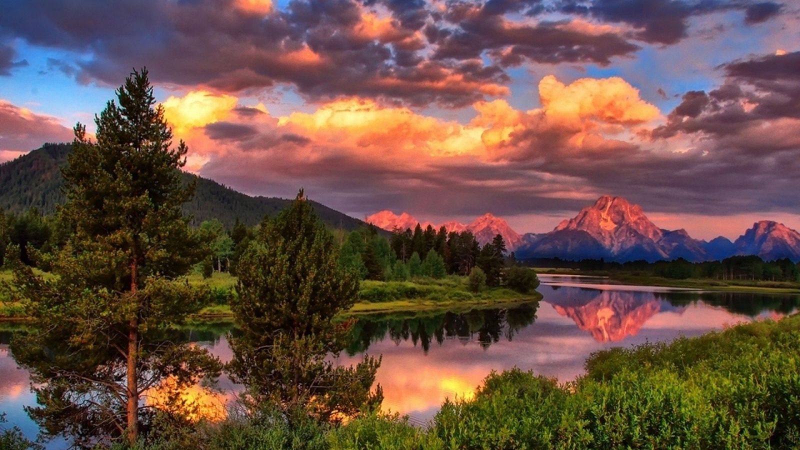 Tree River Clouds HD Wallpapers - Wallpaper Cave