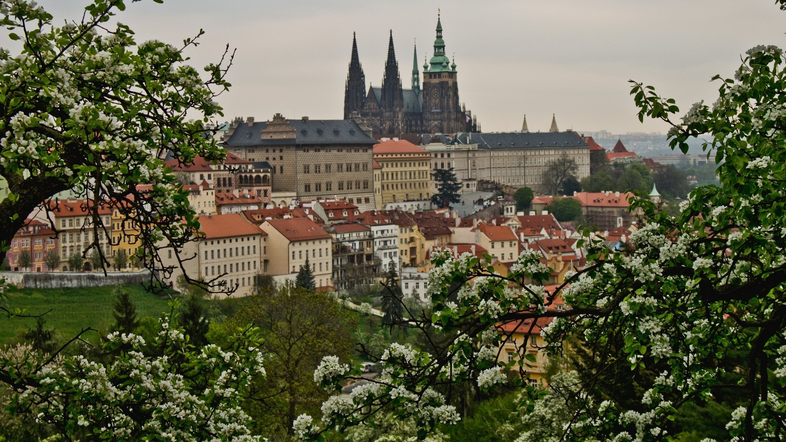 Prague 4K HD Wallpapers - Wallpaper Cave