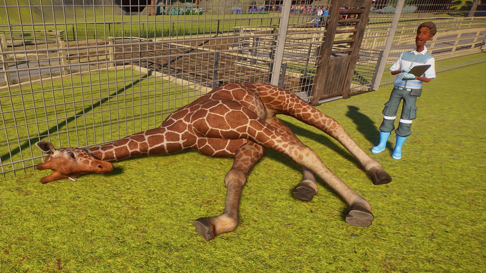 Planet Zoo Free Aposupport