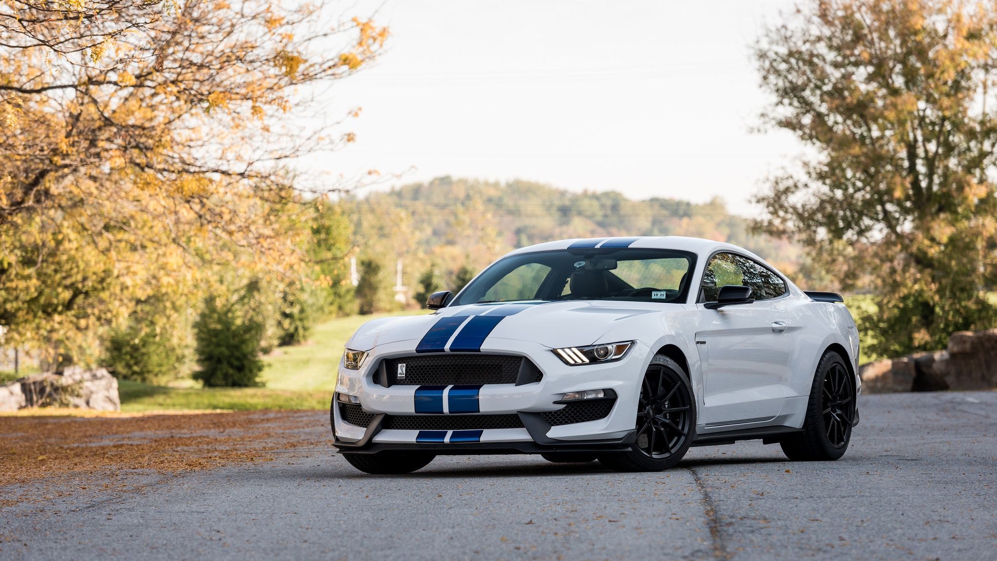 Shelby GT 350 Wallpapers - Wallpaper Cave