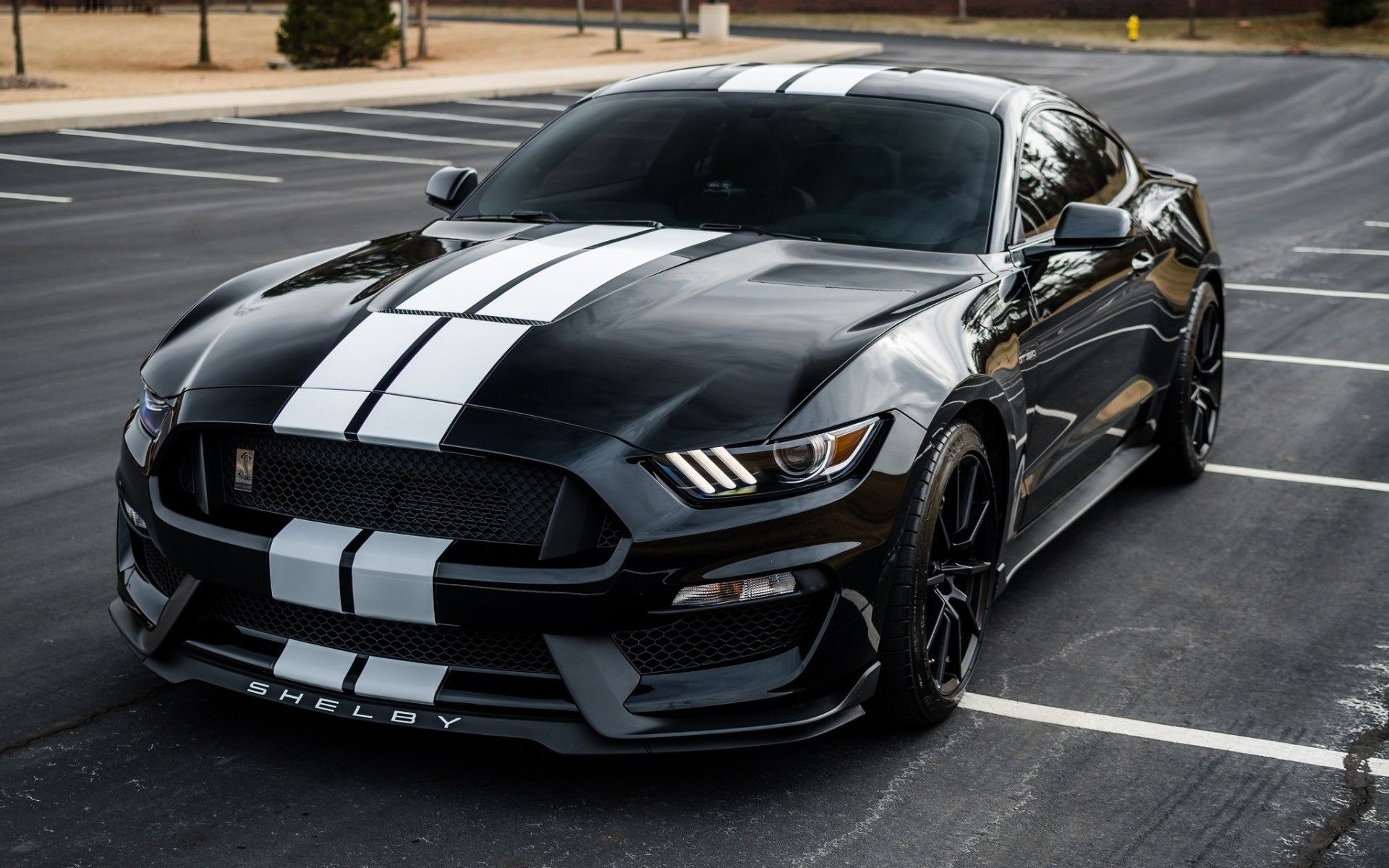 Shelby GT 350 Wallpapers Wallpaper Cave Shelby GT 350 Wallpapers Wallpaper Cave