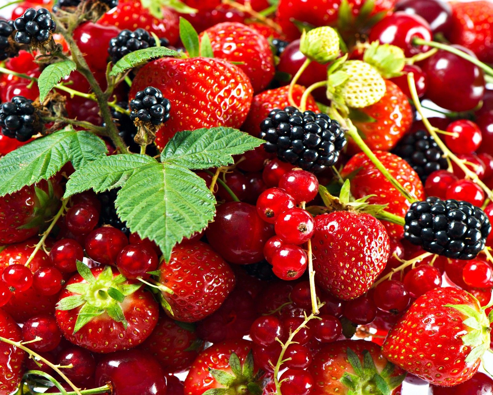 Food Berry HD Wallpapers - Wallpaper Cave