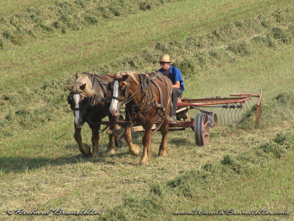 The Amish Wallpapers - Wallpaper Cave