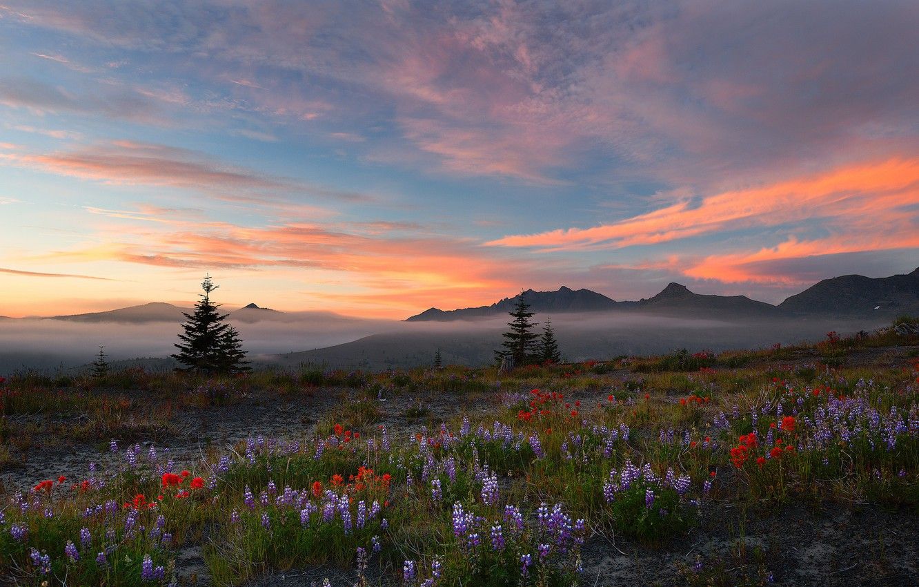 Sunset Harmony Wallpapers - Wallpaper Cave