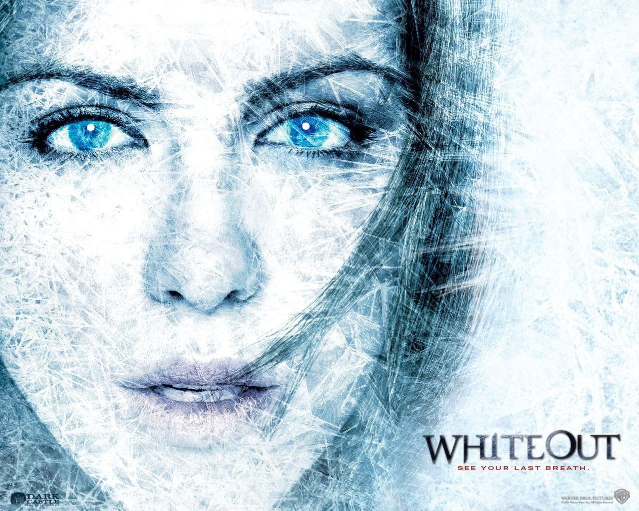 Whiteout Wallpapers - Wallpaper Cave