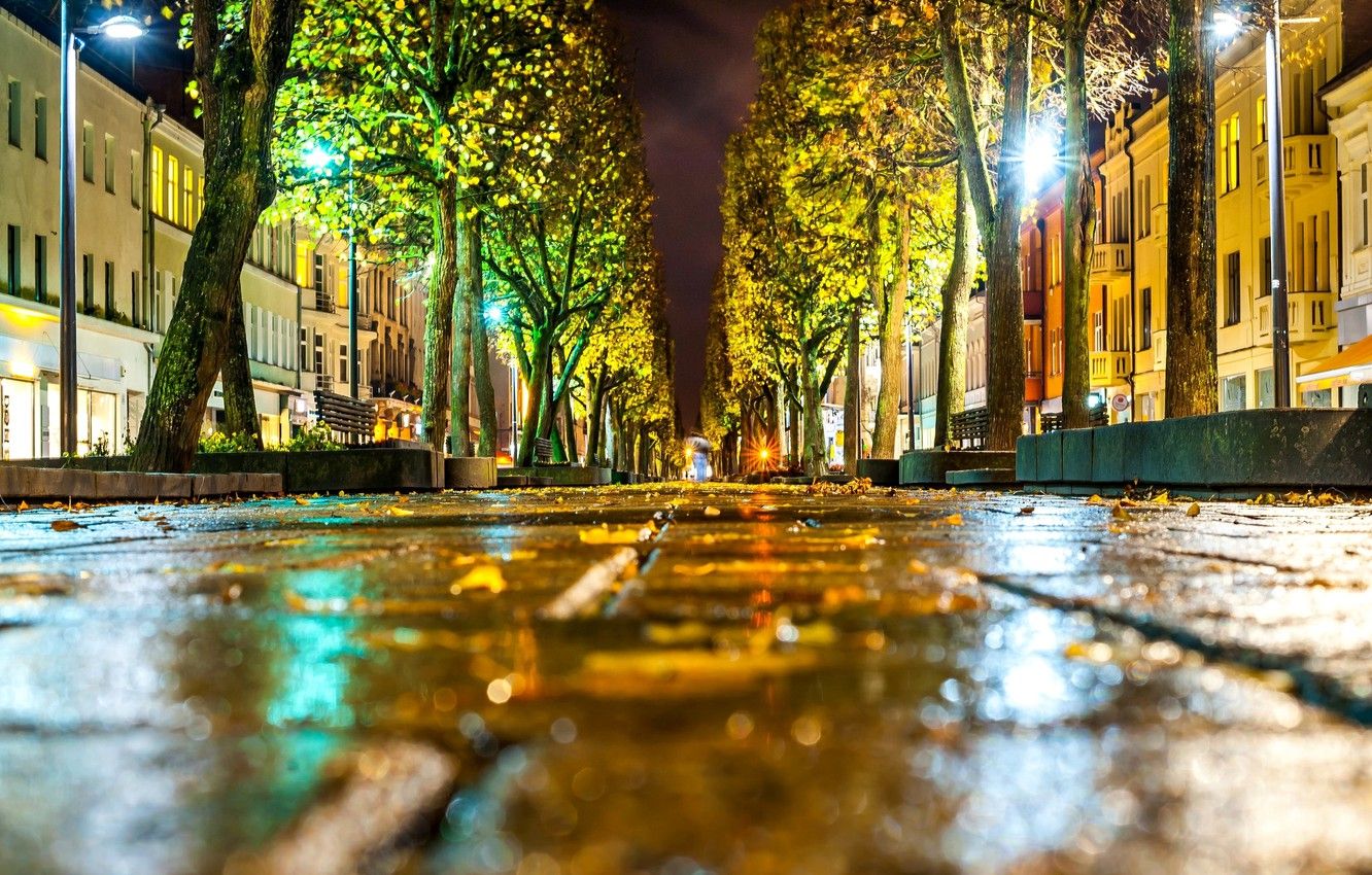 Macro Street Wallpapers - Wallpaper Cave