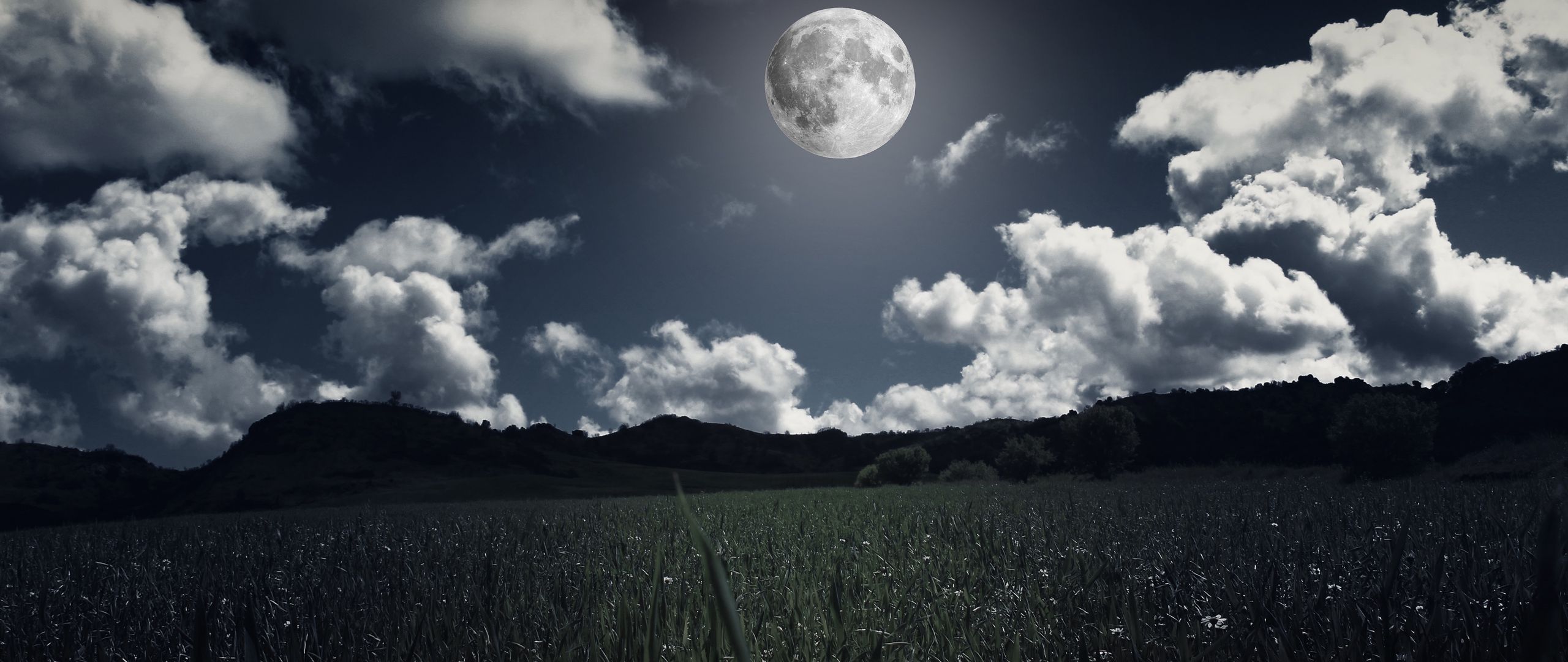 Summer Full Moon HD Wallpapers - Wallpaper Cave
