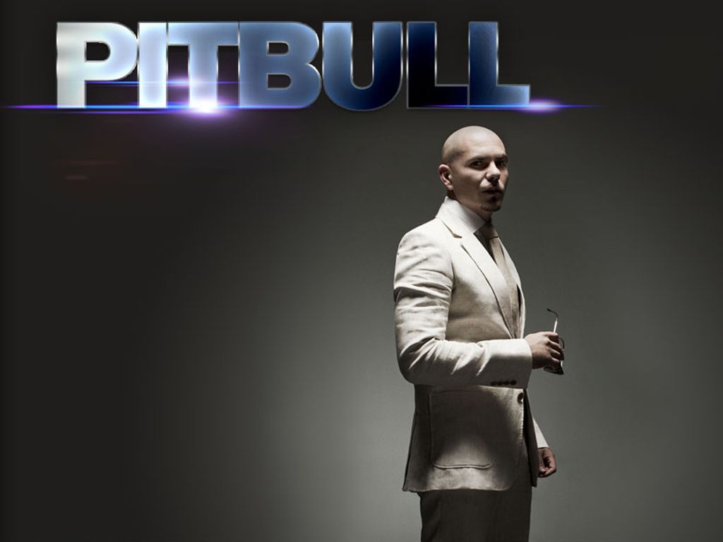 Pitbull Singer Wallpapers - Wallpaper Cave