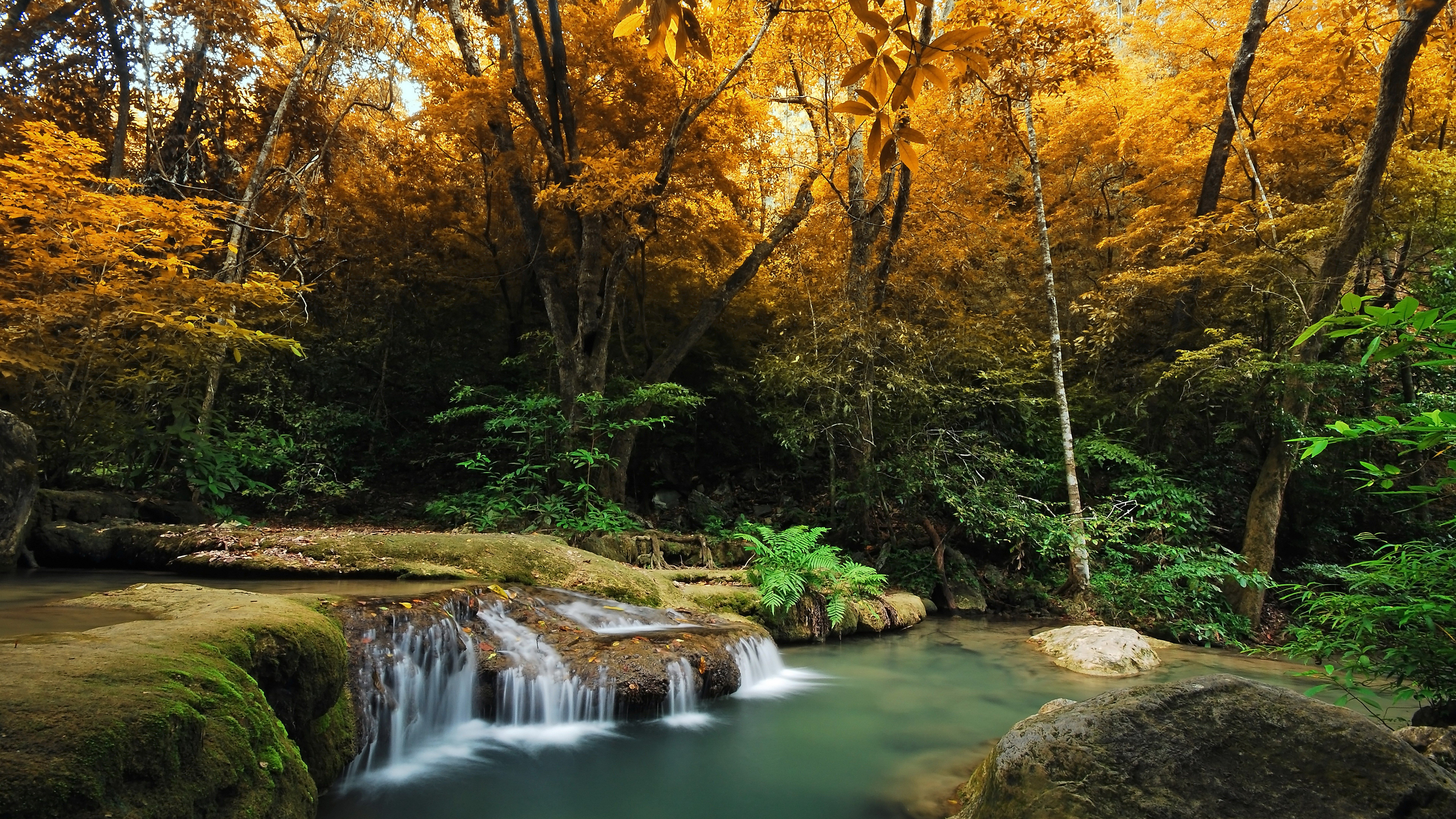 Nature 8k Wallpapers Wallpaper Cave