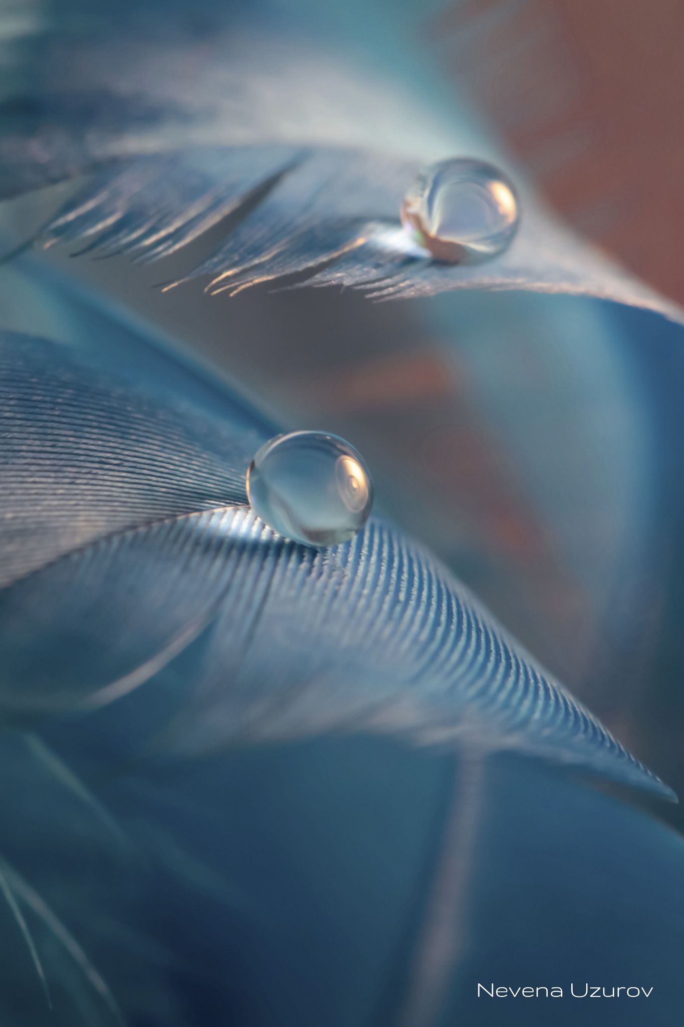 Delicate Blue Wallpapers - Wallpaper Cave