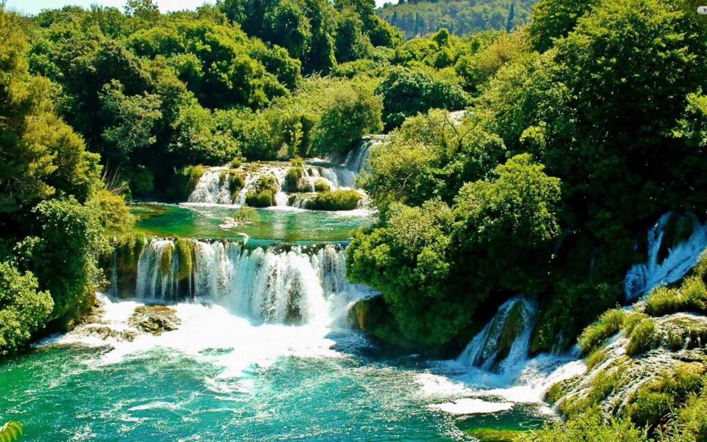 Amazonas Wallpapers - Wallpaper Cave