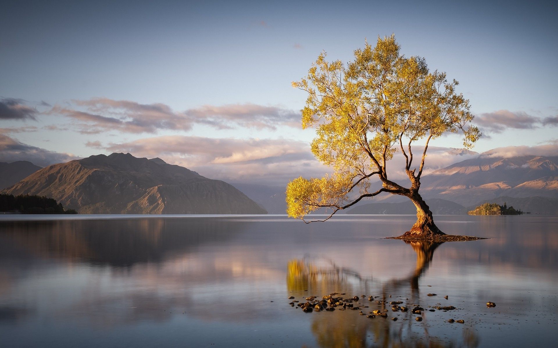 Reflection HD Wallpapers Wallpaper Cave