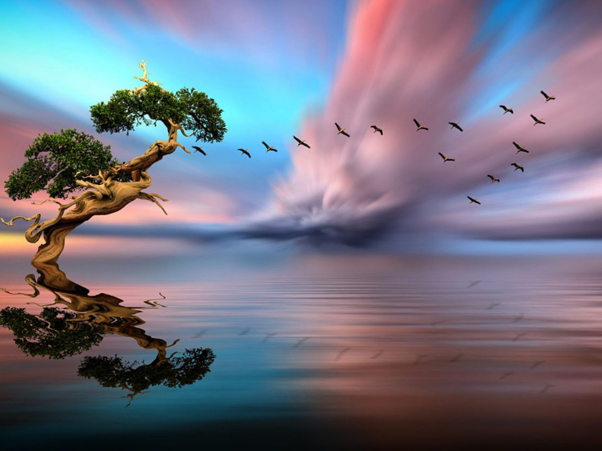 Trees Clouds Water HD Wallpapers - Wallpaper Cave
