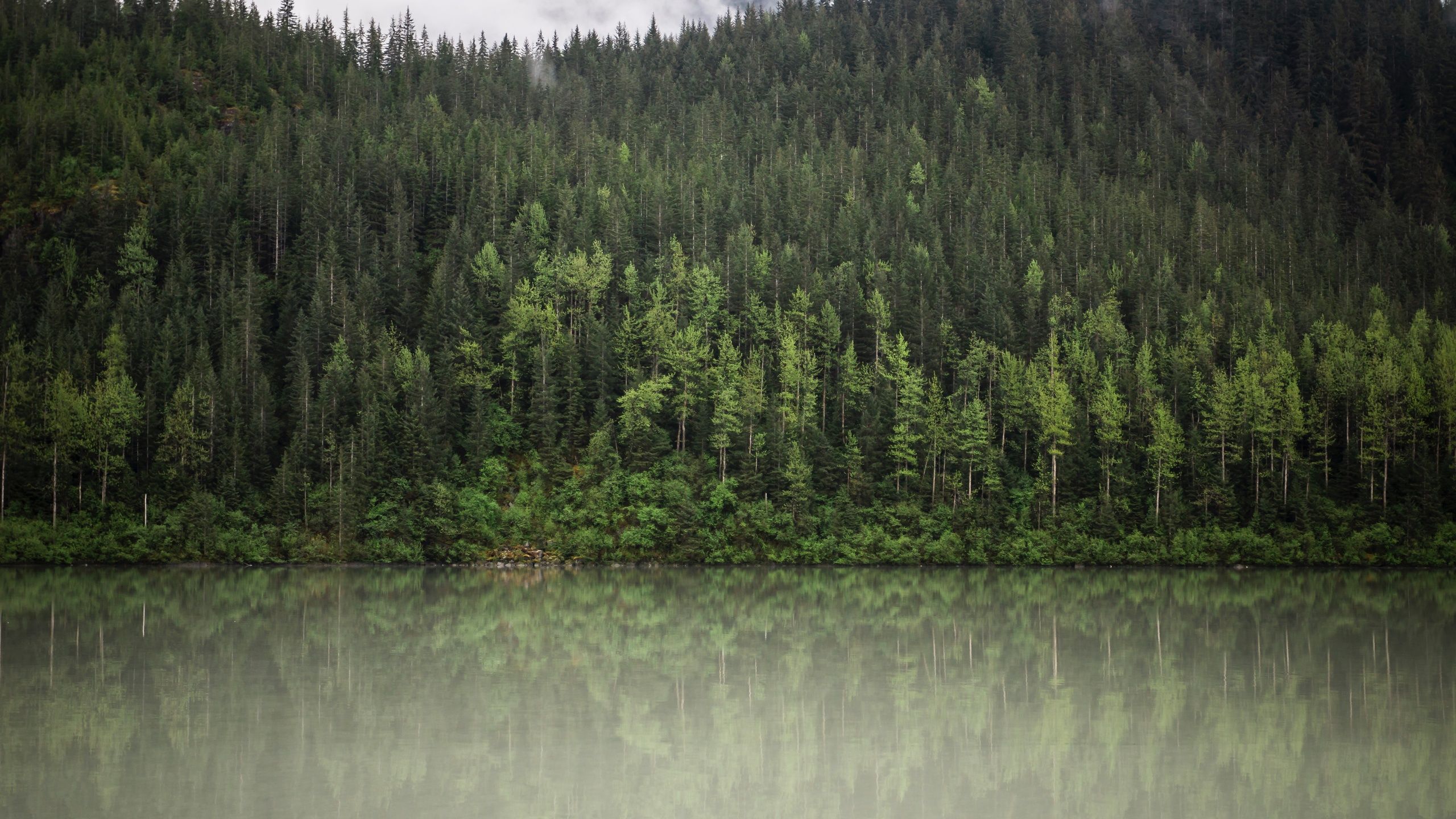 Trees Clouds Water HD Wallpapers - Wallpaper Cave