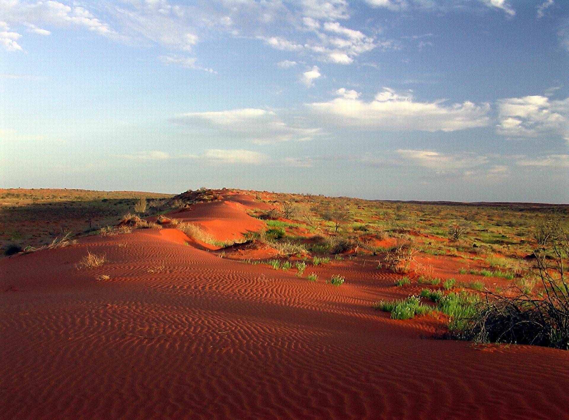 Earth Desert HD Wallpapers - Wallpaper Cave