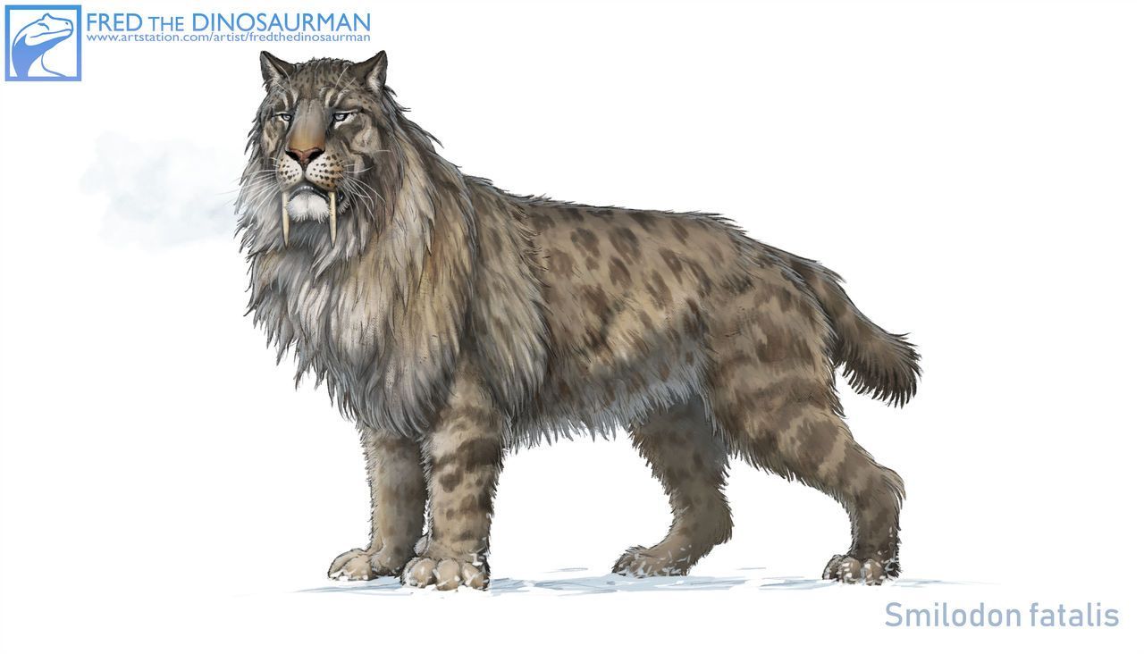 Smilodon Wallpapers - Wallpaper Cave