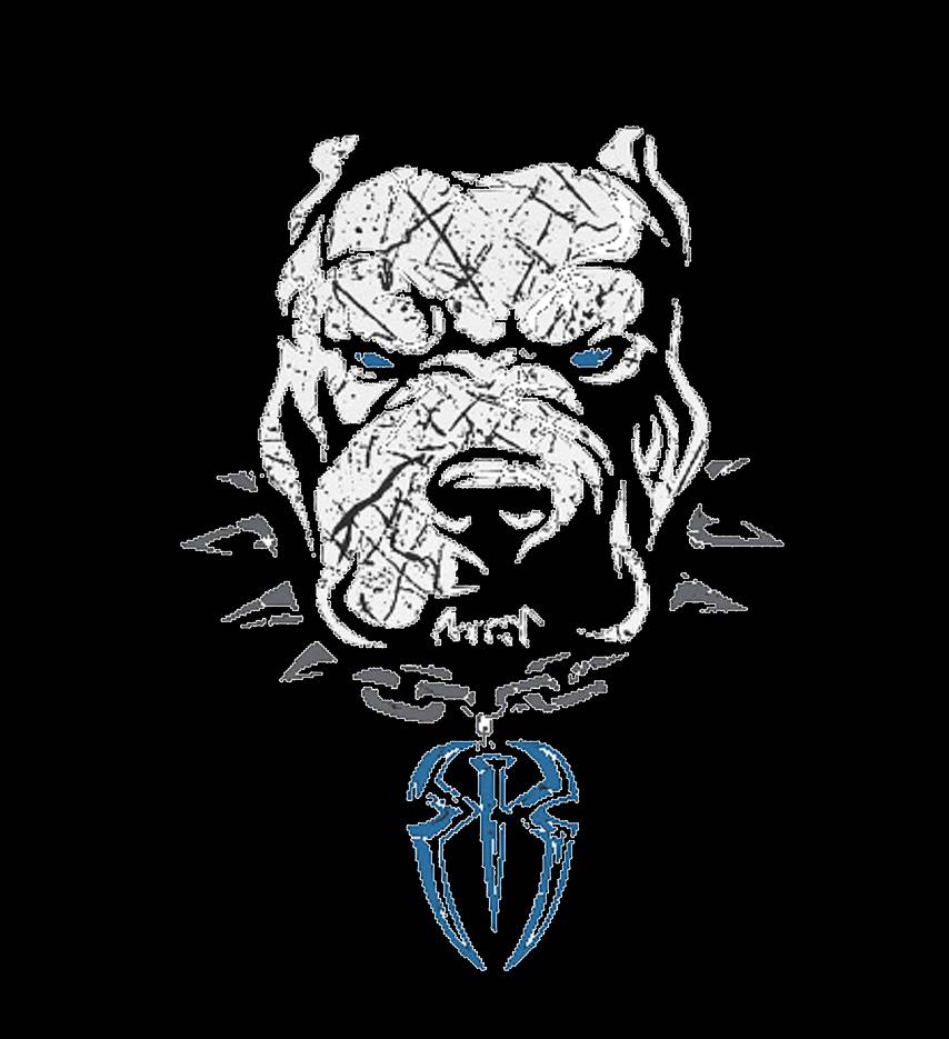 Roman Logo Wallpapers - Wallpaper Cave